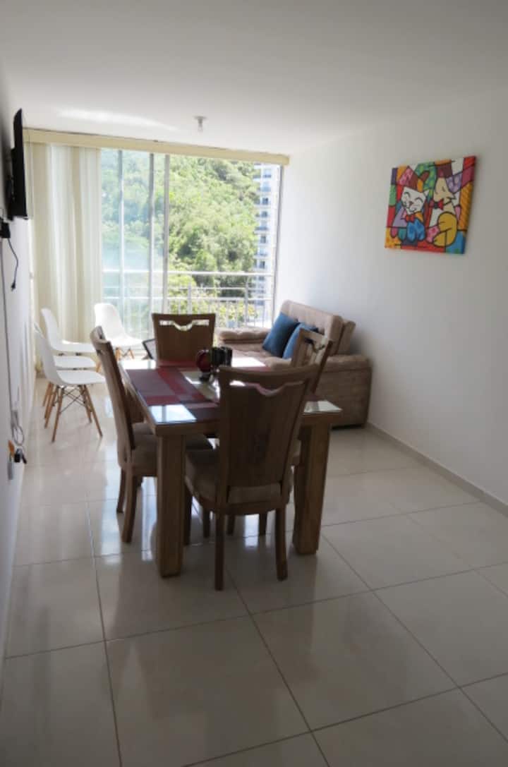 Apartamento, Amplio, Cómodo Y Tranquilo En Ibagué - Ibagué