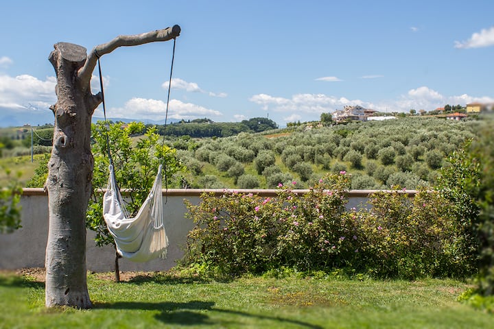 Ginkgo B&b La Tua Oasi Di Relax - Francavilla al Mare