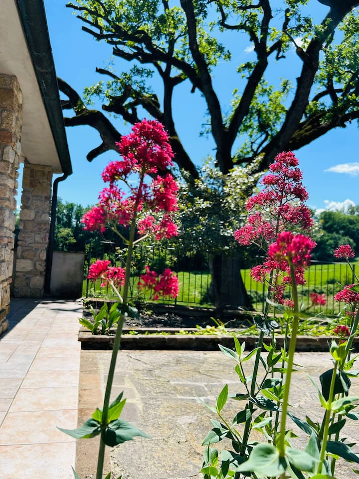 Villa Le Querce Nel Cuore Verde Dell'umbria - Todi