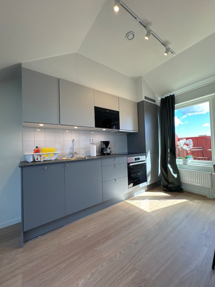 Studio Apartment In Gothenburg B02 - Gothenburg