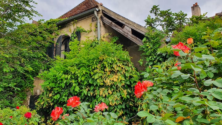 Le Clos Joubert - Maison Pour 10, Jardin Clos - Auxerre