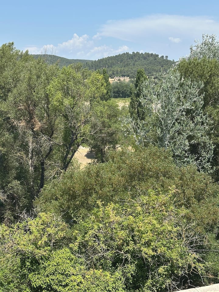 Chambre Chez L'habitant
Pdej' Basique Inclus - Cadarache