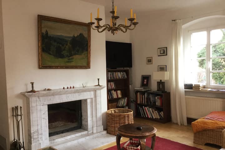150 Qm-wohnung In Jugendstil-villa - Freital