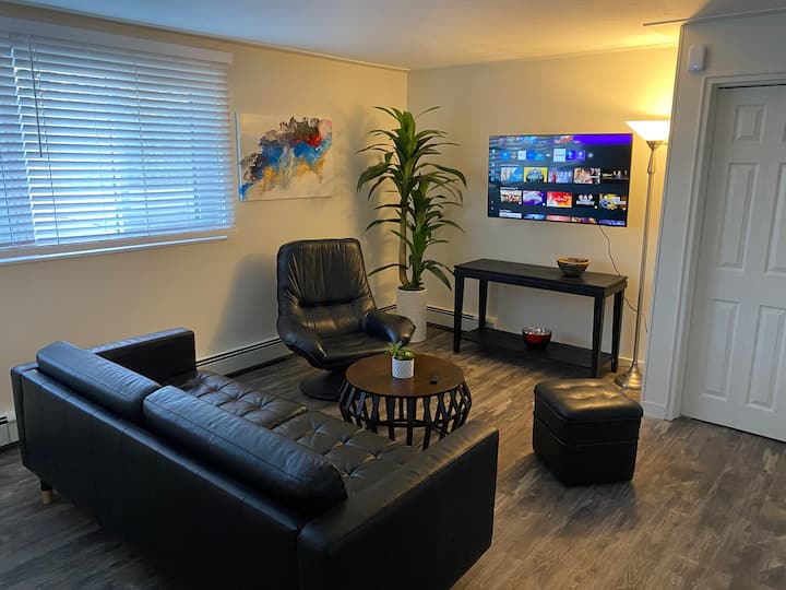 Amazing 1-bedroom Apartment - Sarnia