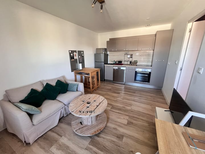Jolie Appartement Cosy - Proche Cnpe - Villette-d'Anthon