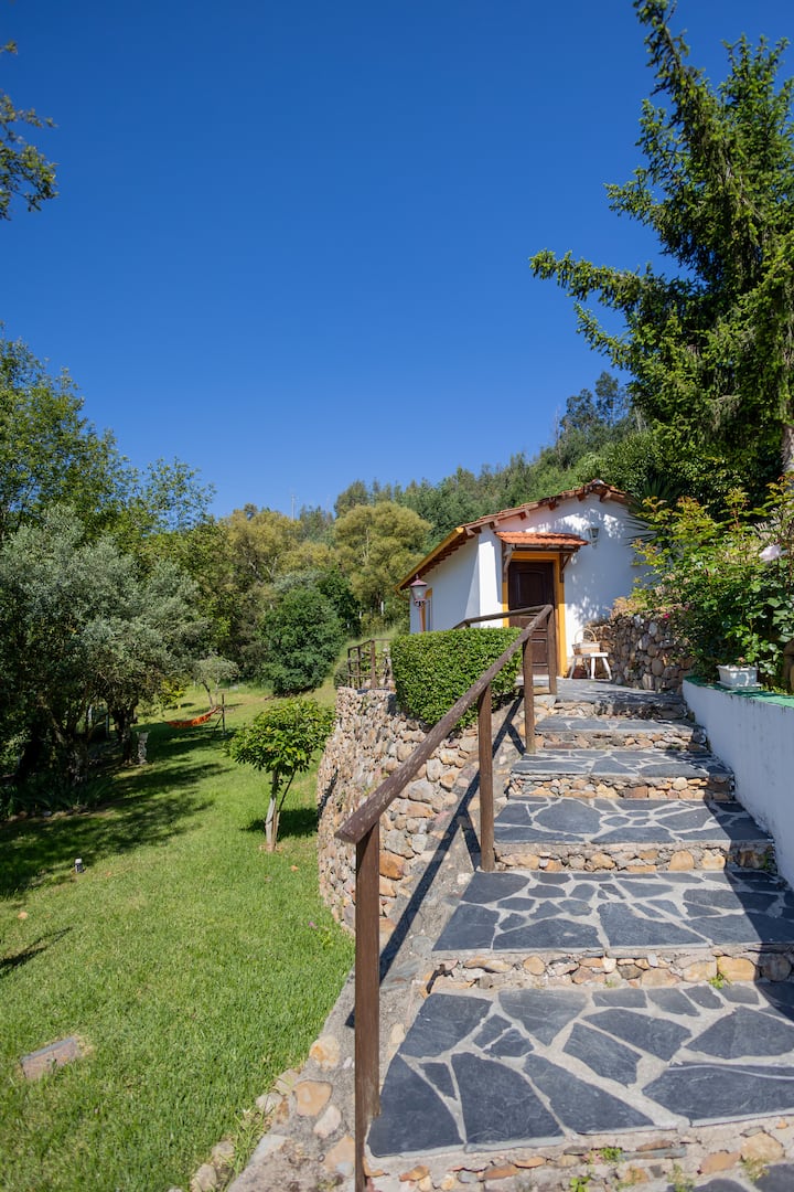 Quinta Magnólias By Home Sweet Home Aveiro - Miranda do Corvo