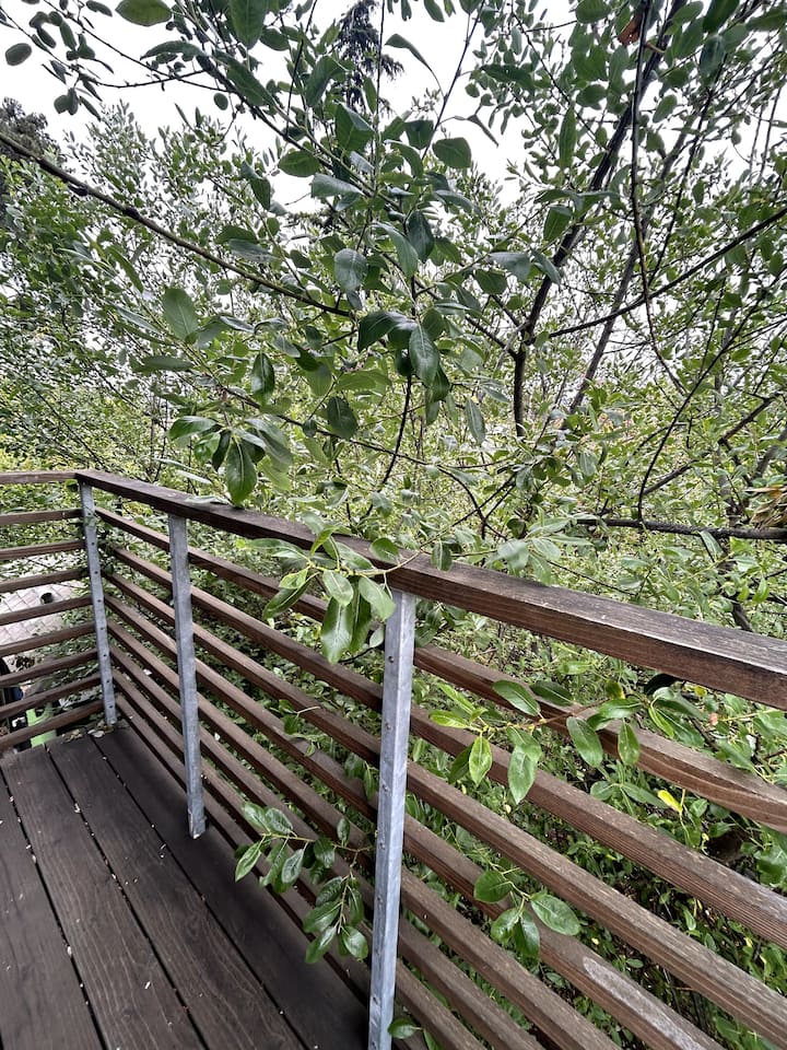 Cozy Bedroom With Lovely Balcony - 오클랜드