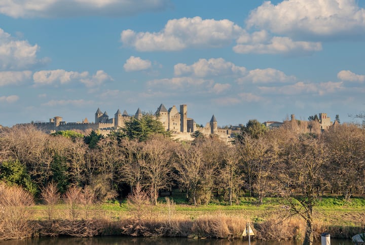 Maison La Djoon,vue Cité, Centre Ville Spa Jardin - Carcassonne