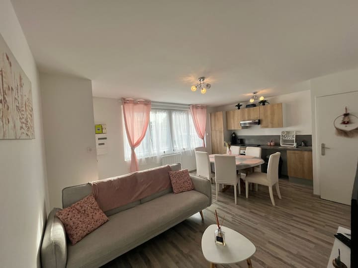 Appartement Chaleureux 50m² - Orchies