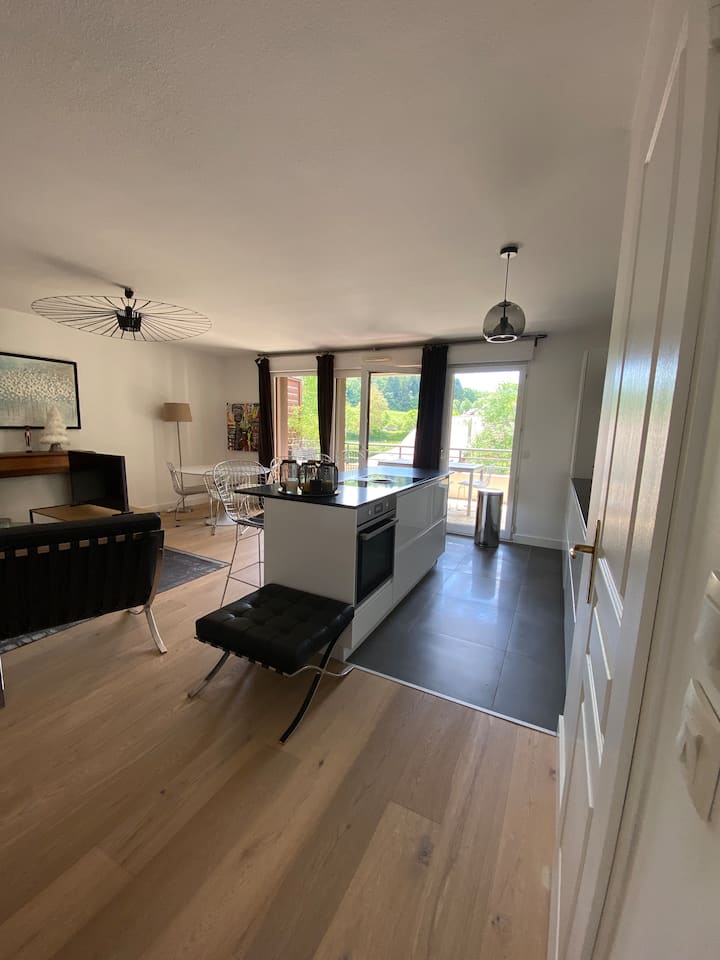 T3 Moderne Et Luxueux Talloires - Talloires-Montmin
