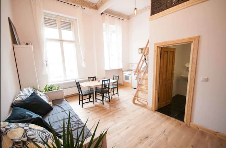 Bright Design Studio Apartment - Berlin