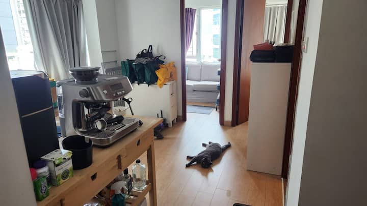 Cosy 1-bedroom Flat In Tin Hau - North Point