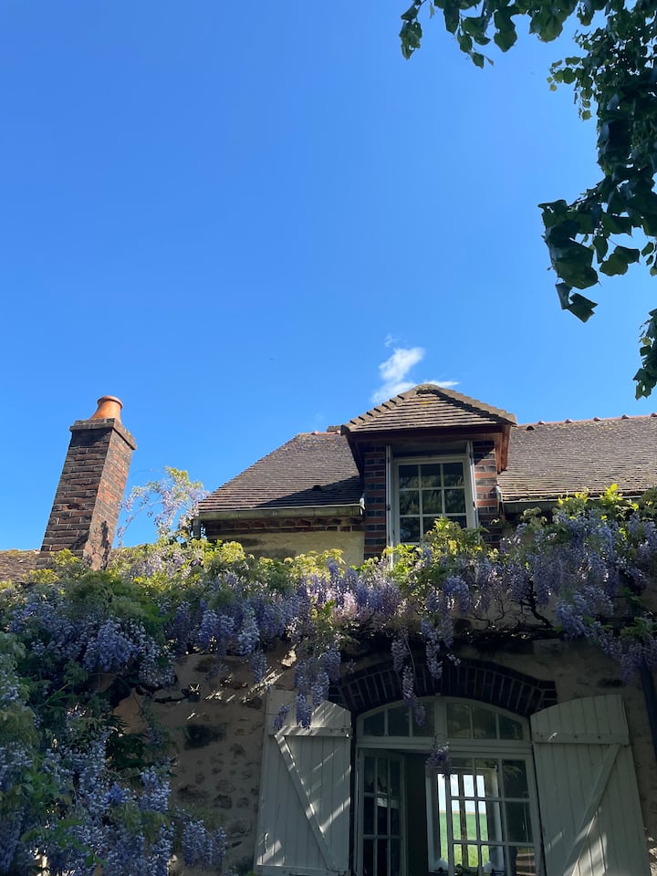 Maison De Charme Avec Piscine Et Jardin Arboré - Seine-et-Marne