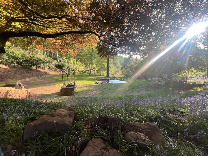 Private Tranquil Forest Retreat - Bromsgrove