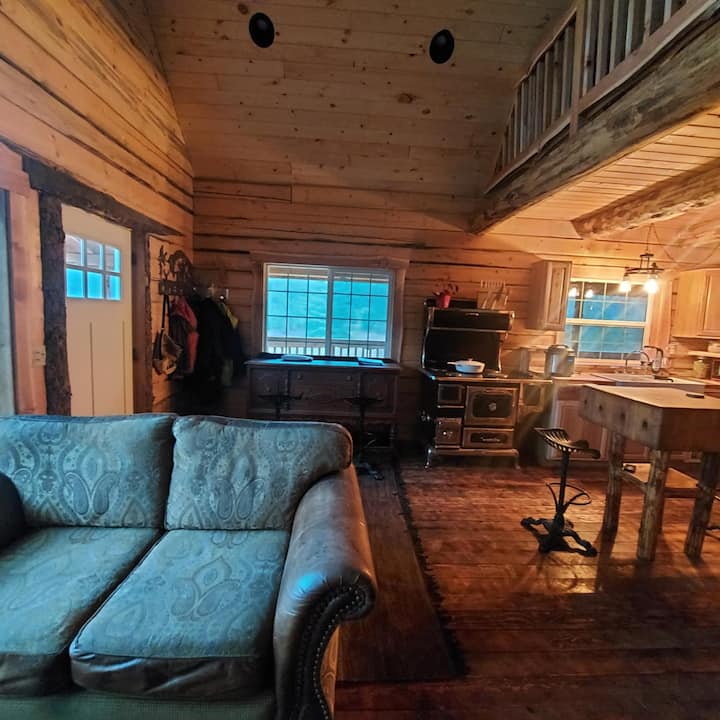 Lake Life Cabin! - Hope, ID