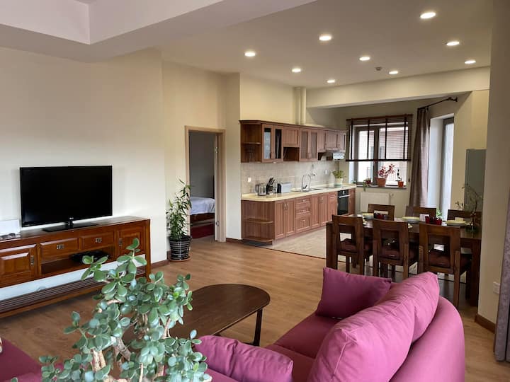 Regency Residence 4 Bedroom Rent - Mongolia