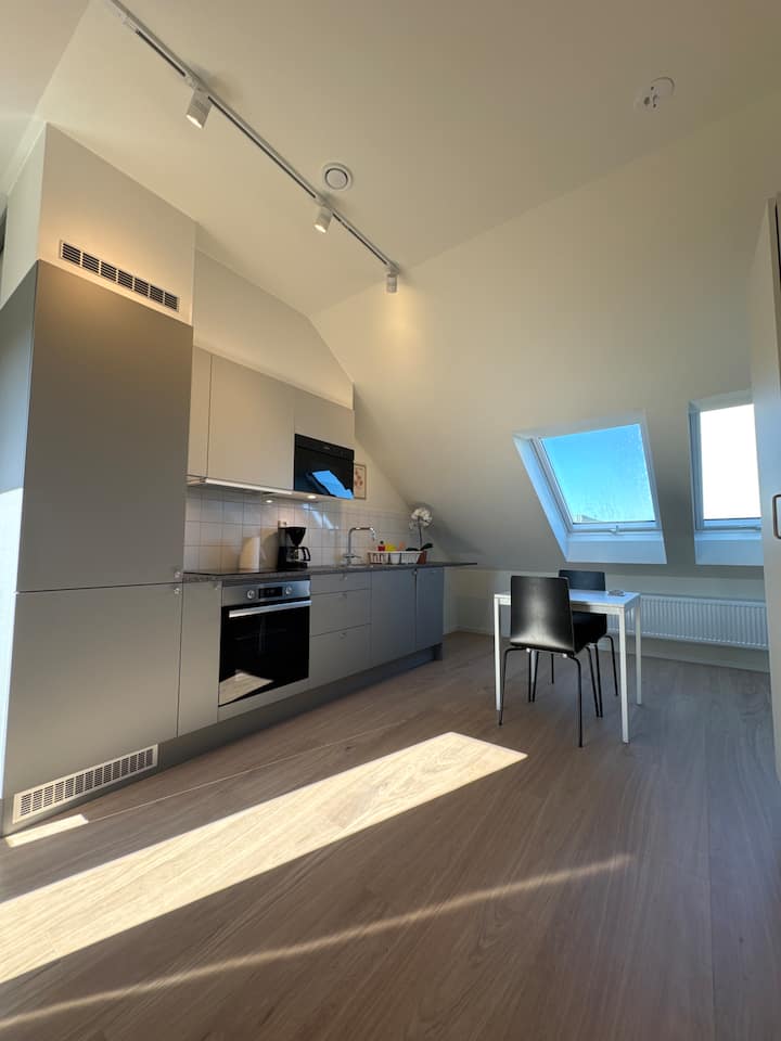 Studio Apartment In Gothenburg B01 - Gothenburg