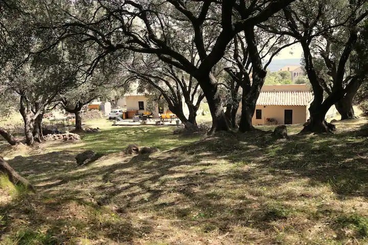 Loc'soleil De Borivoli - Figari