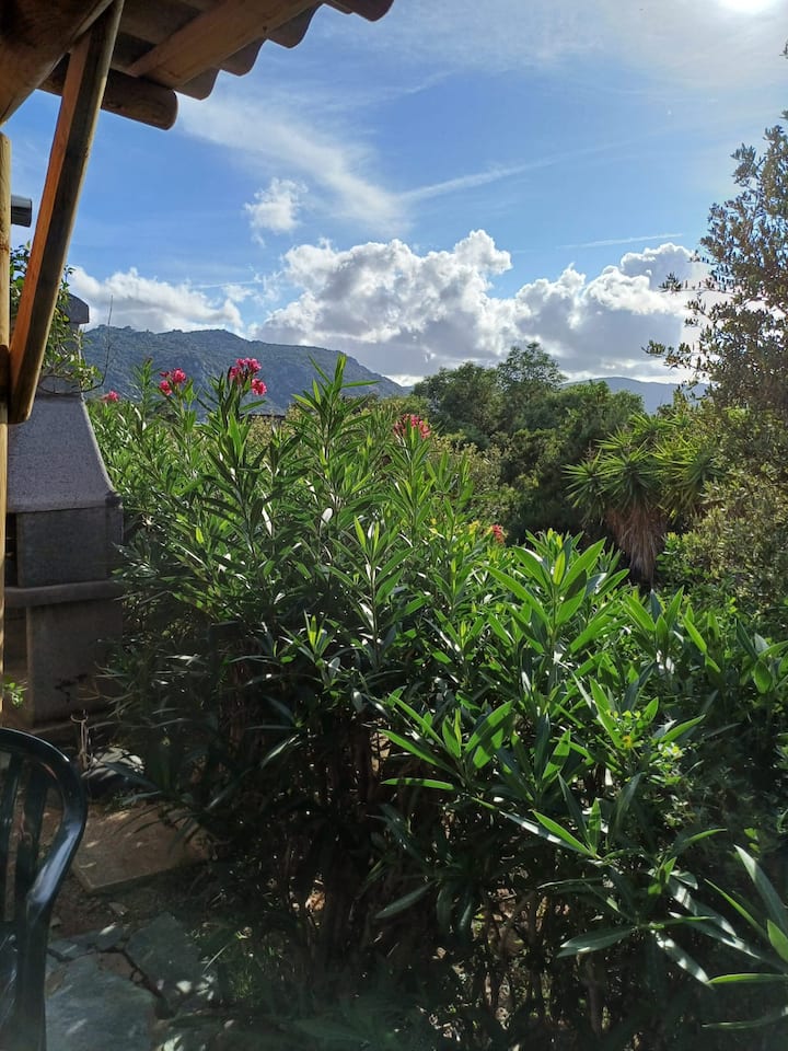 Résidence Mini Villa Bella Vista - Santa Giulia