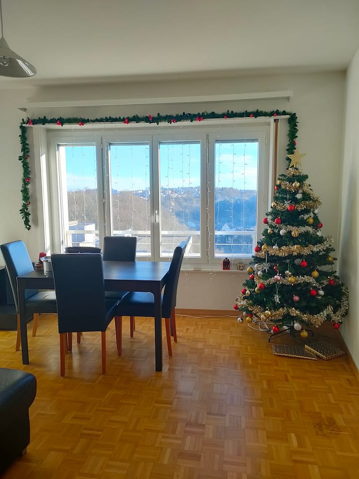 Appartement à Louer - Fribourg