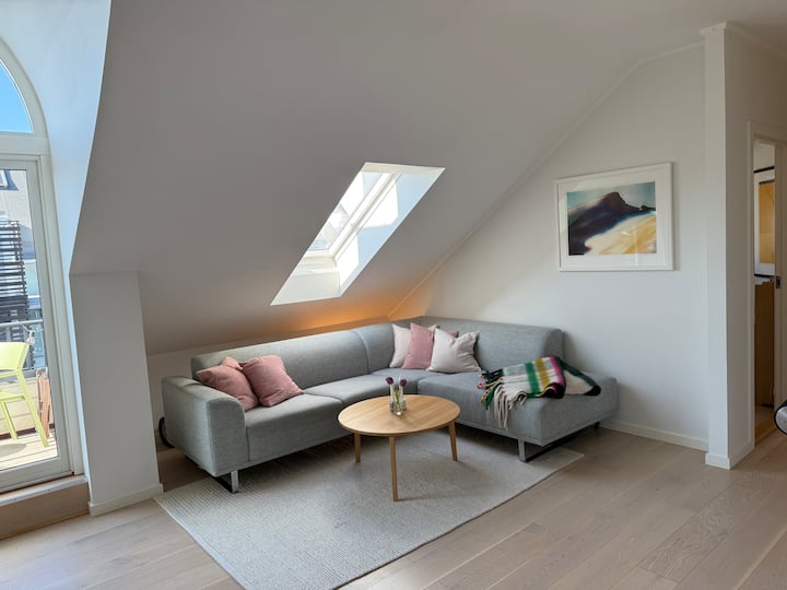 Unique Rooftop Apartment - Oslo