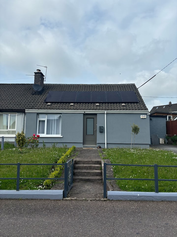 Cute Di Villa - Cork