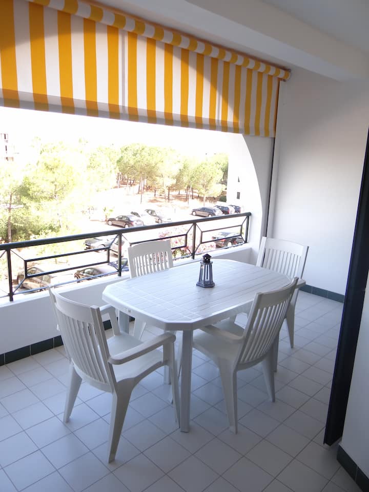 Cosy Apartament T1 - Guia