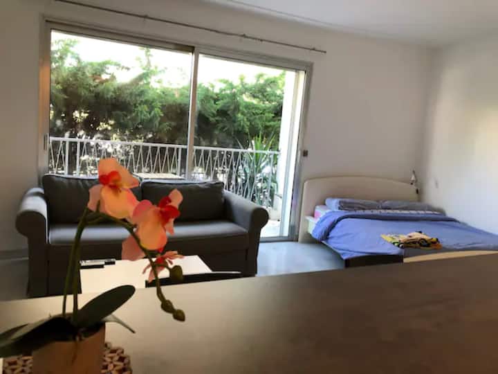 Gd Studio Centre Ville - Chagall - Nizza