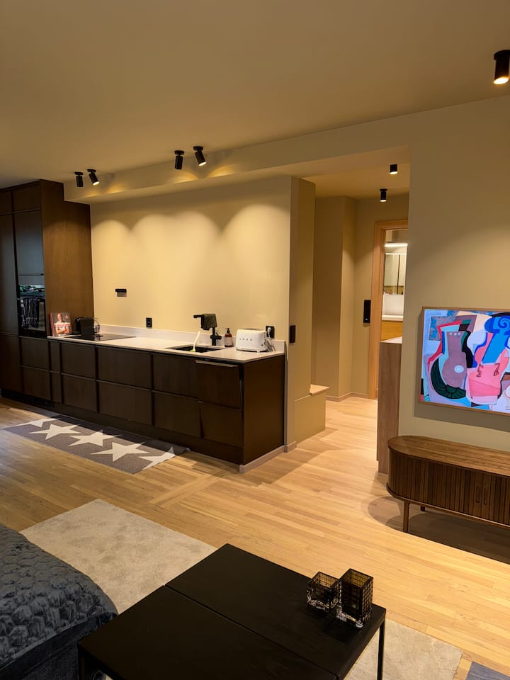 Renovated Apt. W/ Balcony - Oslo