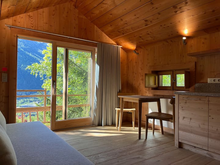 Cocoon Au Mont Blanc - Argentière