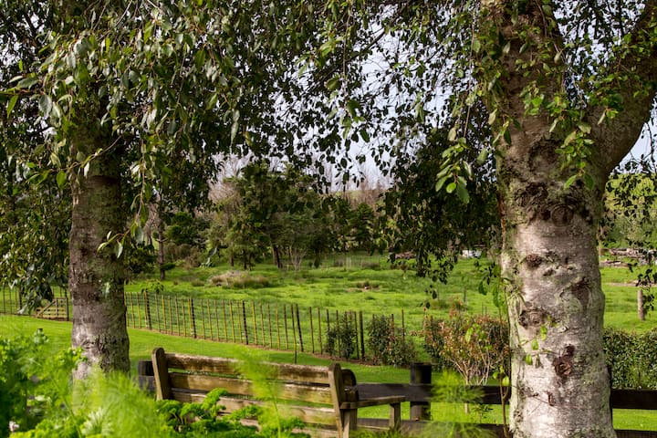 The Woolshed Maison - Parakai