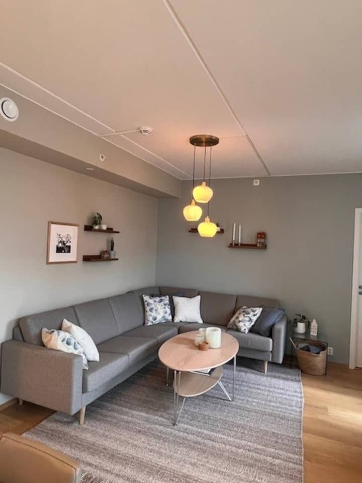 Moderne Leilighet Med To Soverom - Trondheim