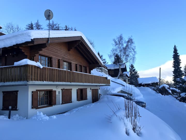 Un Balcon Sur Les Alpes - Nendaz