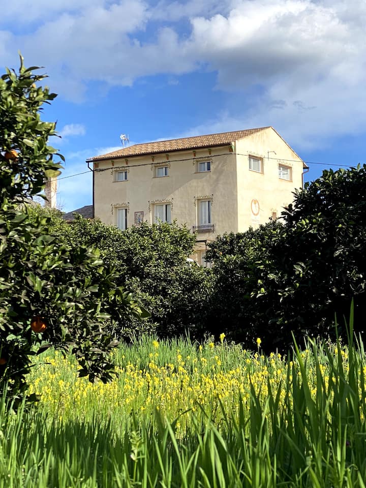 Hort De Les Oronetes - Cullera