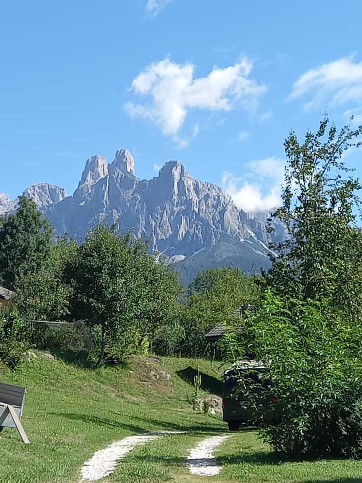 Casa Mirtillo Blu - Fiera di Primiero