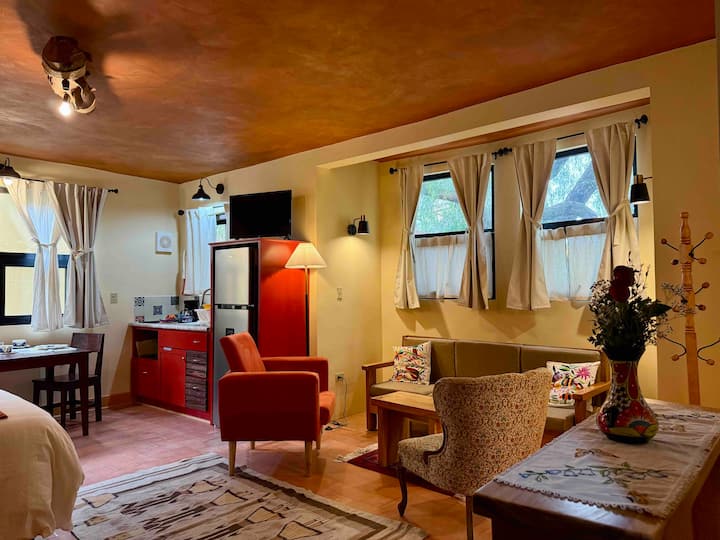 Bright Suite With Ac, Kitchenette, Near Centro - San Miguel de Allende