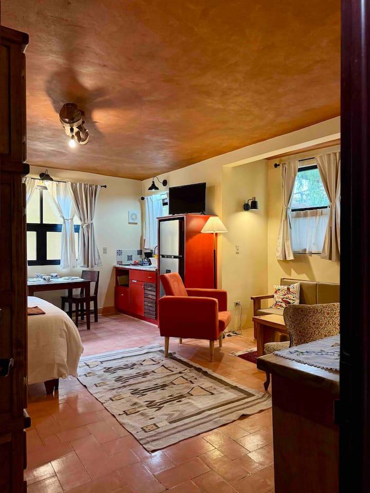 Bright Suite With Ac, Kitchenette, Near Centro - San Miguel de Allende