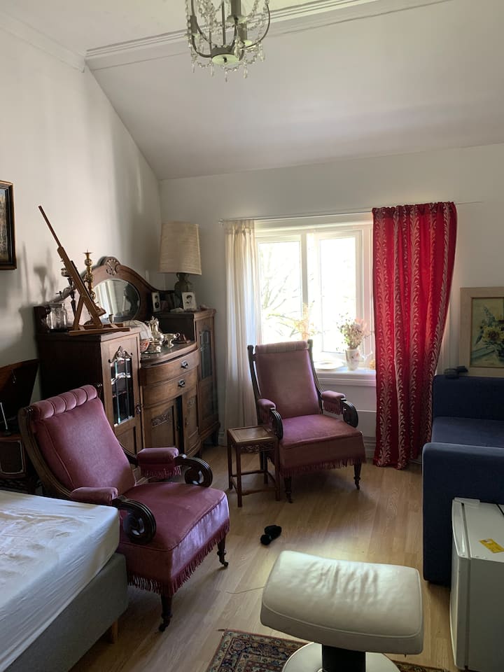 Large Room In Bohemian Loft. - Trondheim