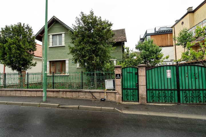 Retro Green Cottage With A Barkyard-pet Friendly - ブラショフ