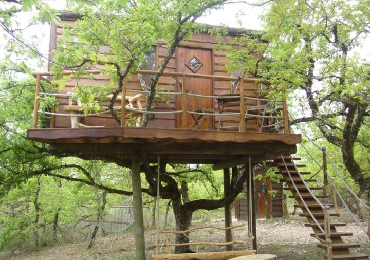 Cabane En Bois Dans Les Arbres - Lot