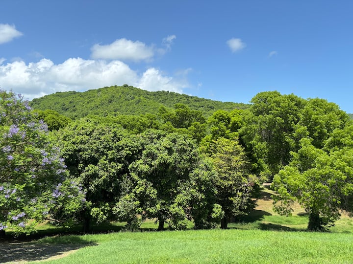 Cottage Stay On The Farm - Saint Croix