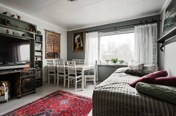 Lahti Staytion Studio Apartment - Vierumäki