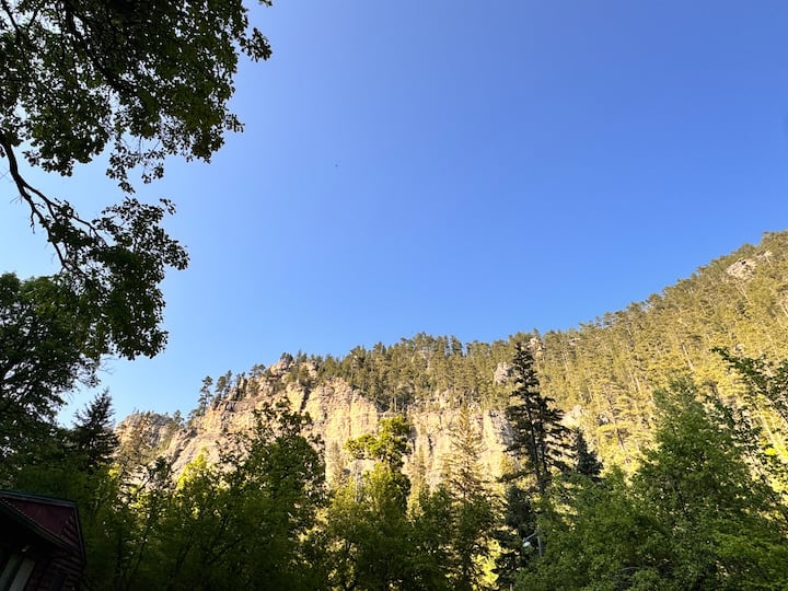 Historic Creekside Cabin - Spearfish, SD