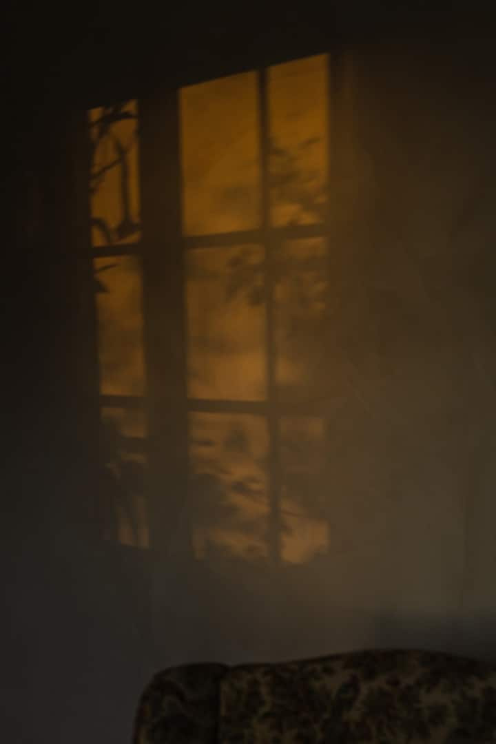 Stellar Violets – Morning Bird Studio - Manjimup