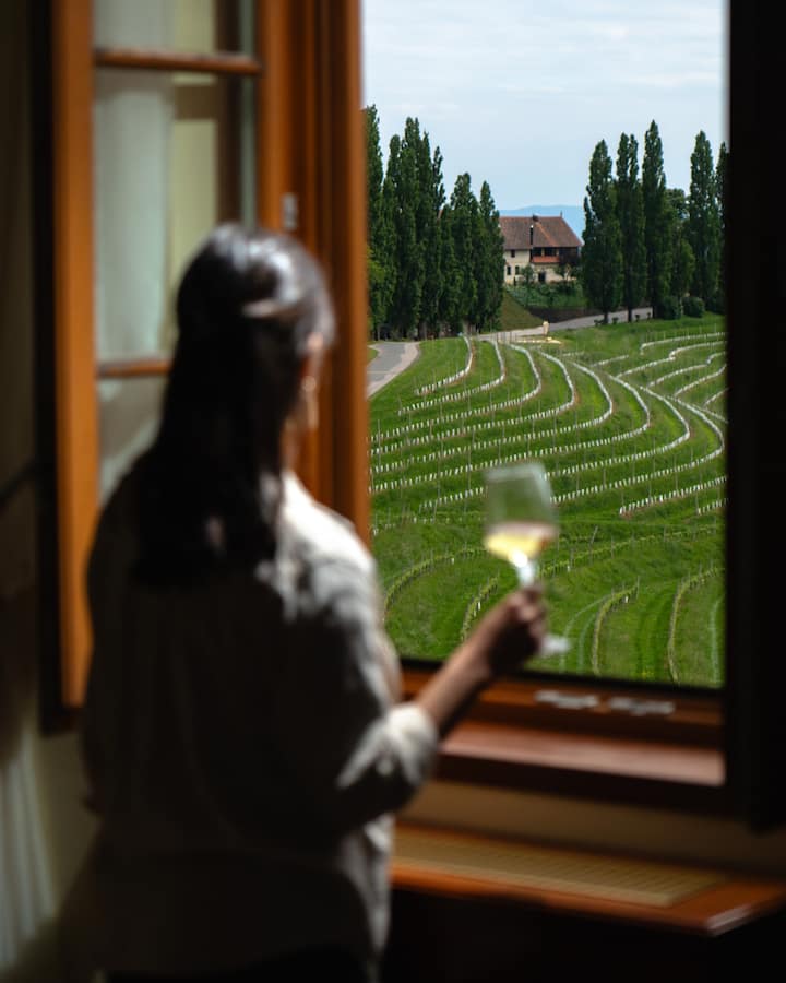 Romantična Dvoposteljna Soba V Dvorcu Jeruzalem - Ptuj