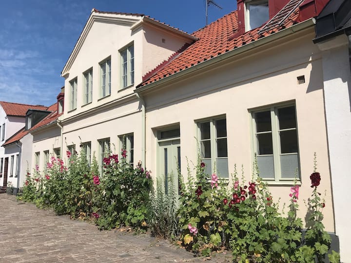 Centrala Lund Med Trädgård - Lund