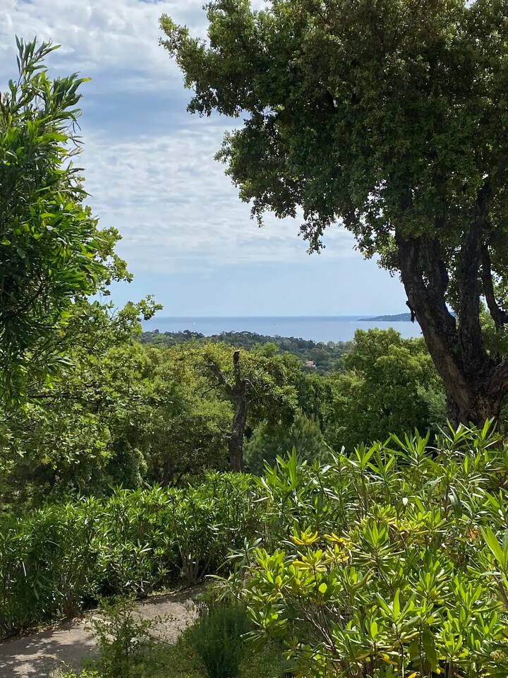 T2 Rés Les Restanques Grimaud - Grimaud