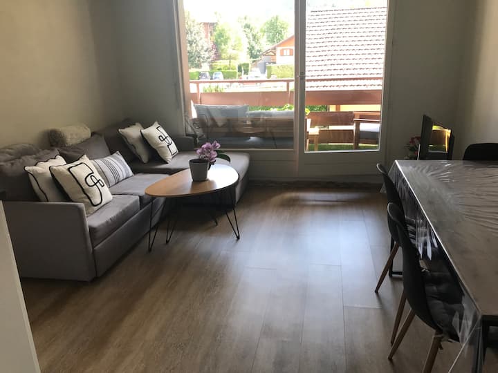 Appartement - Thônes - Thônes