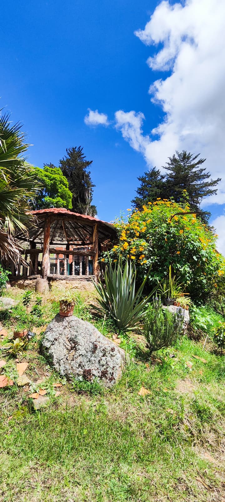 Finca La Cabaña - Jenesano