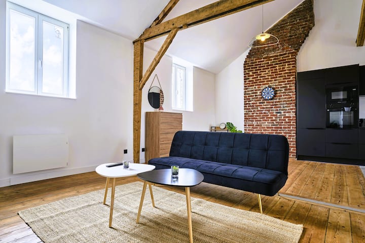 Loft Lillois Unique  Face Au Marché De Wazemmes - Lille